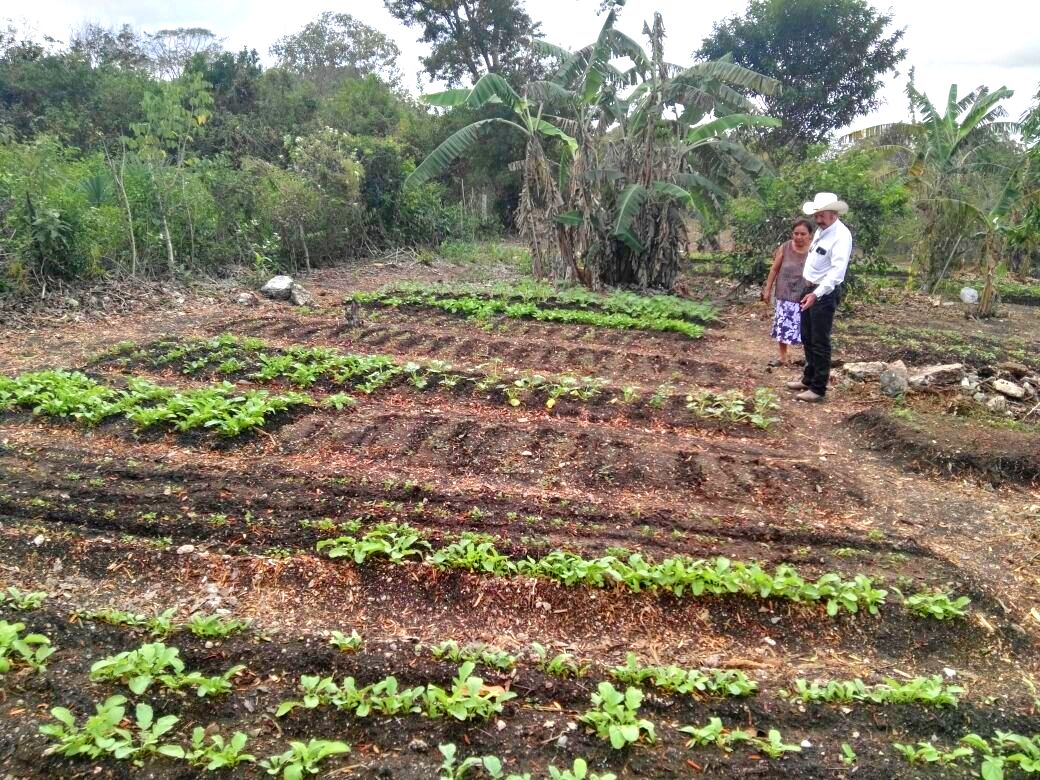 sedaru-capacitacion-a-mujeres4 | Coordinación General de Comunicación